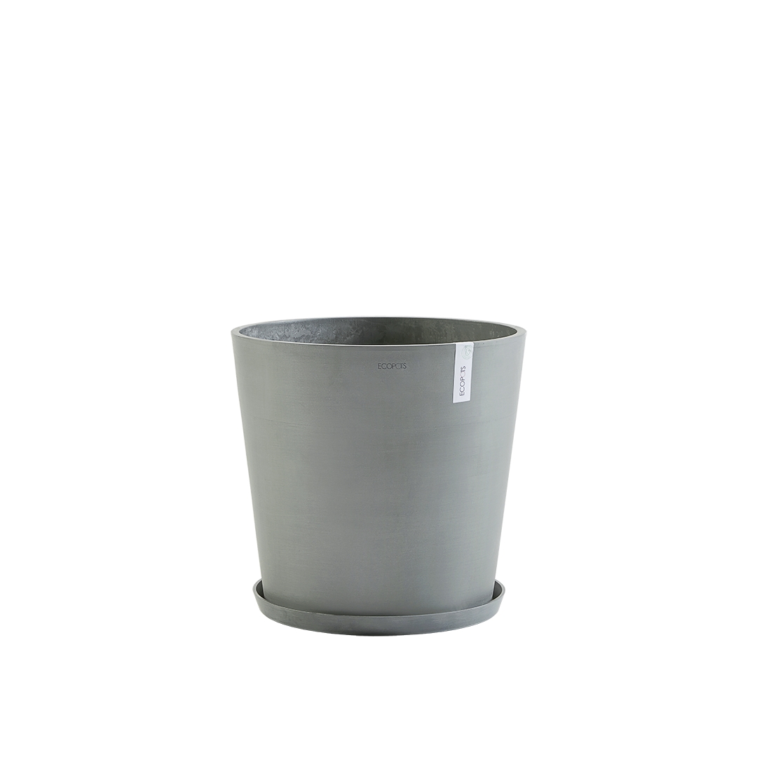 AMSTERDAM Blue Grey 50 - Tuincentrum Abies